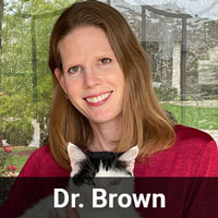 Lisa Reeve's Instagram, Twitter & Facebook on IDCrawl